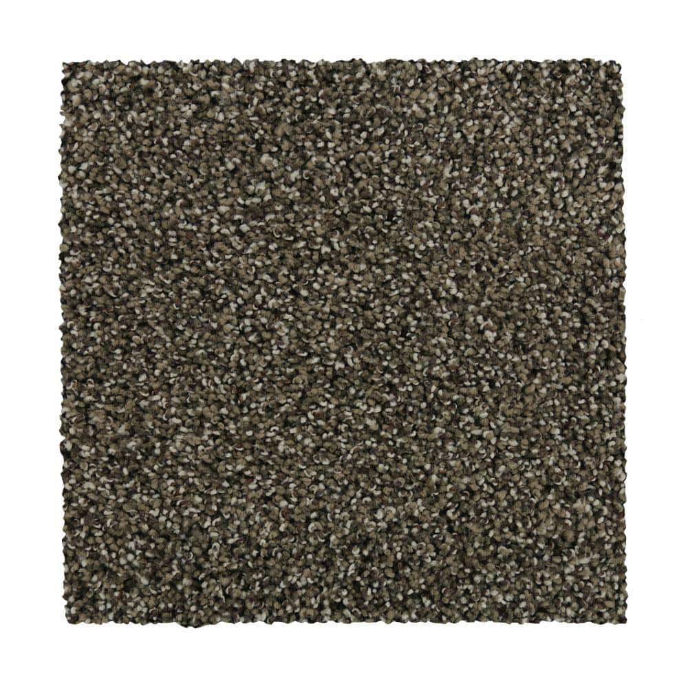Lifeproof Batesfield - Color Meander Indoor Texture Brown Carpet 0801D ...