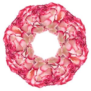 Globalrose Fresh Dark Pink Color Roses (250 Stems) orlando-250 - The ...