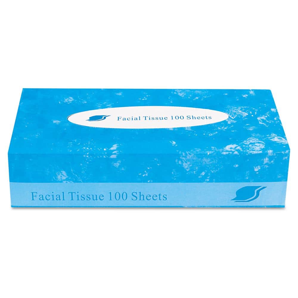 GEN 2-Ply White Boxed Facial Tissue (100 Sheets/Box) GENFACIAL30100 ...