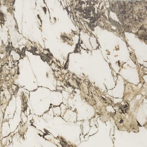 EMSER TILE Sterling II White 24 in. x 24 in. Polished Porcelain Floor ...