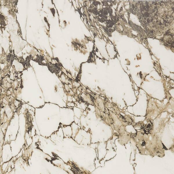 Reviews for Daltile Panoramic Duet Calacatta Aries 24 in. x 24 in ...