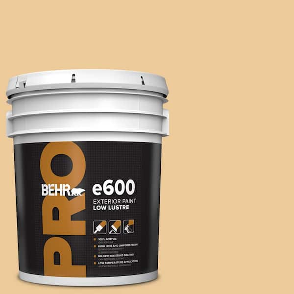 BEHR PRO 5 gal. #M270-4 Filtered Moon Low Luster Exterior Paint PR62005 ...
