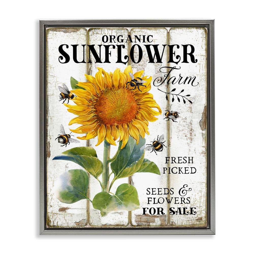 Stupell Industries Organic Sunflower Farm by Creatif Belle Gray Floater ...