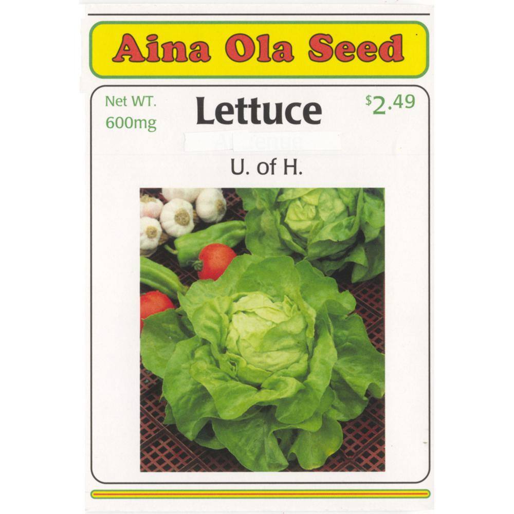 Aina Ola 600 mg Lettuce Manoa U. of H. 685970 - The Home Depot