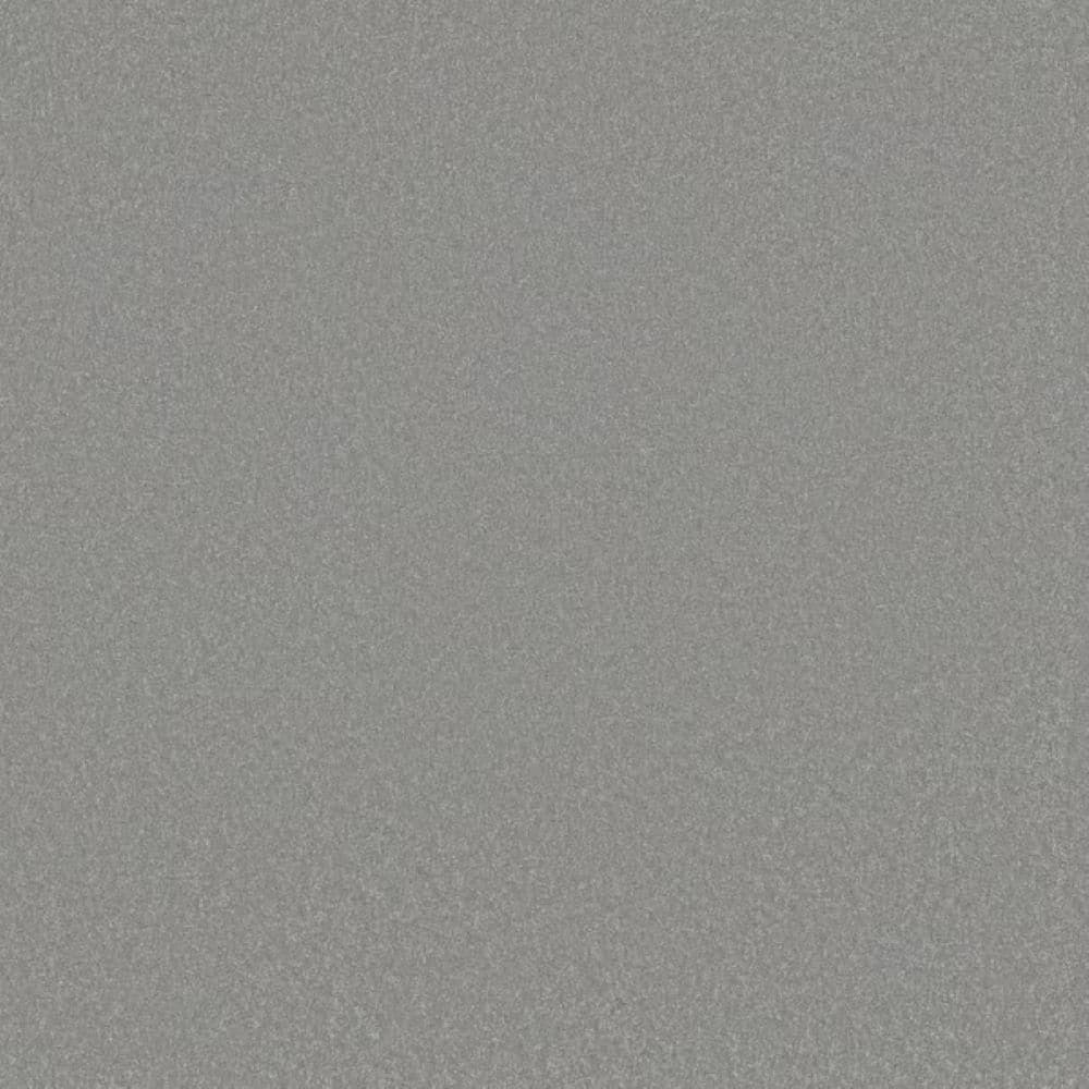 Shaw 8 in. x 8 in. Texture Carpet Sample-Park Royal II-Color Pewter SH ...
