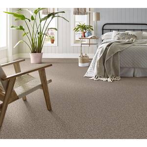 Home Decorators Collection - Indoor - Brown - Carpet - Flooring - The ...