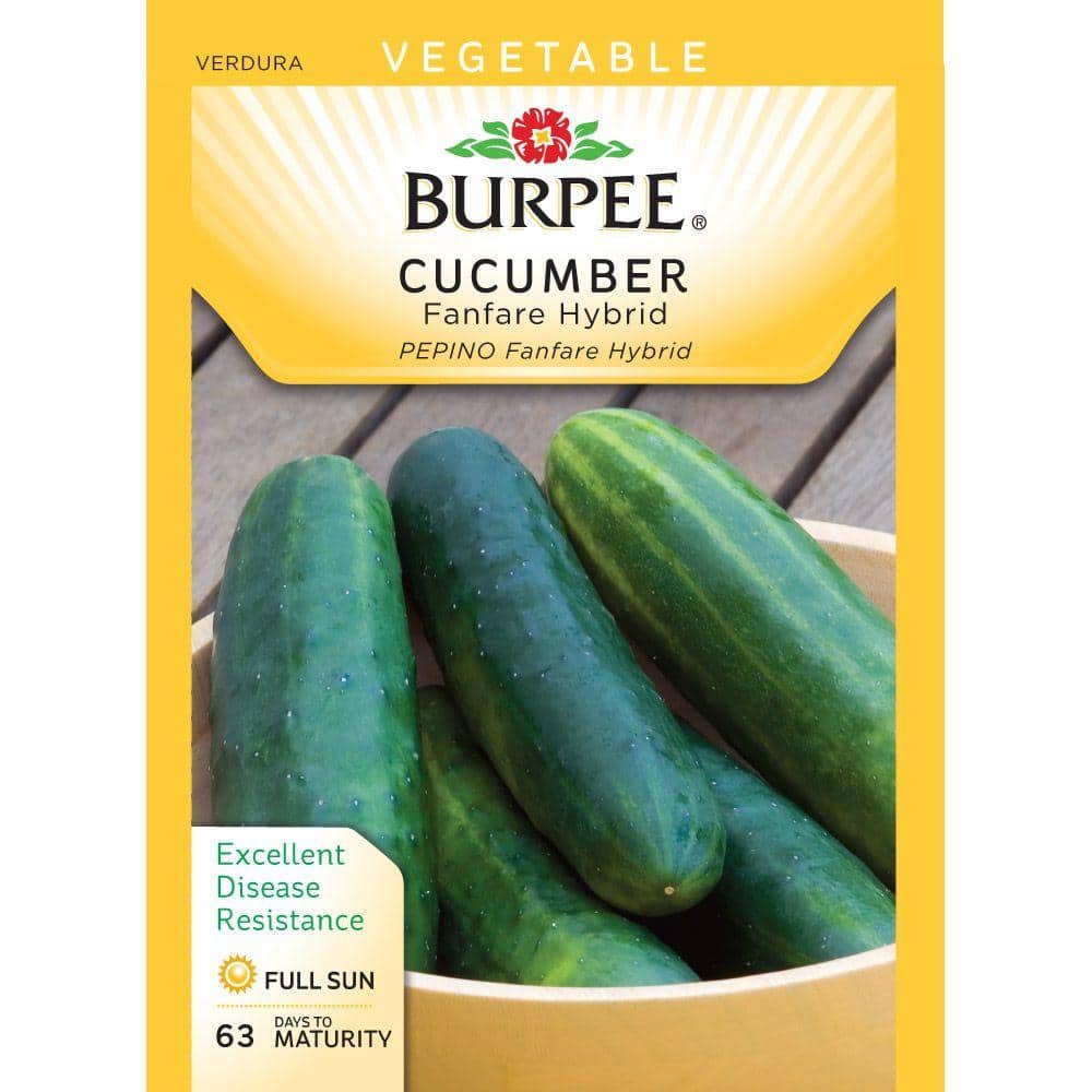 Burpee Cucumber Fanfare Hybrid Seed 65834 - The Home Depot