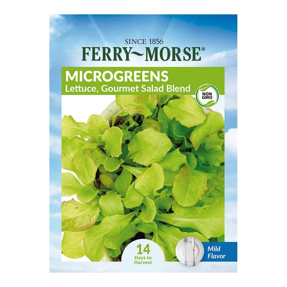 Ferry-Morse Lettuce Gourmet Salad Blend Micro-greens Vegetable Seeds ...