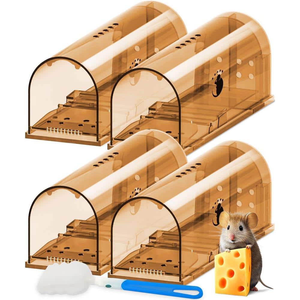 ITOPFOX Indoor Mouse Humane Mouse Traps, No Kill Live Catch and Release ...