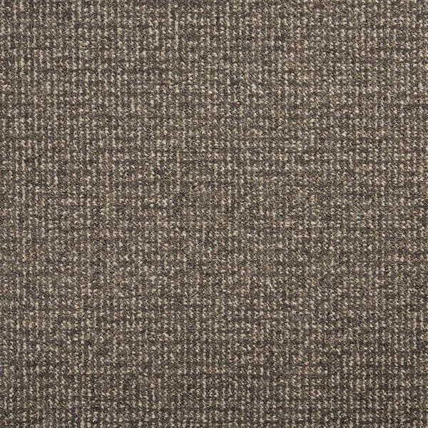 Natural Harmony 6 in. x 6 in. Loop Carpet Sample - Havasu - Color ...