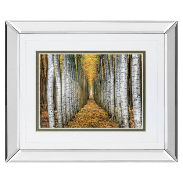 Classy Art 1 Piece Framed Graphic Print Nature Art Print 34 in. x 40 in ...