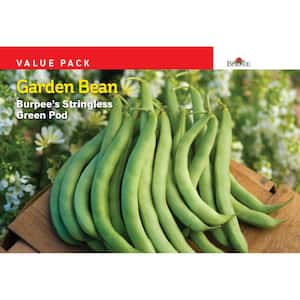 Beans - Vegetable Seeds - Plant Seeds - The Home Depot