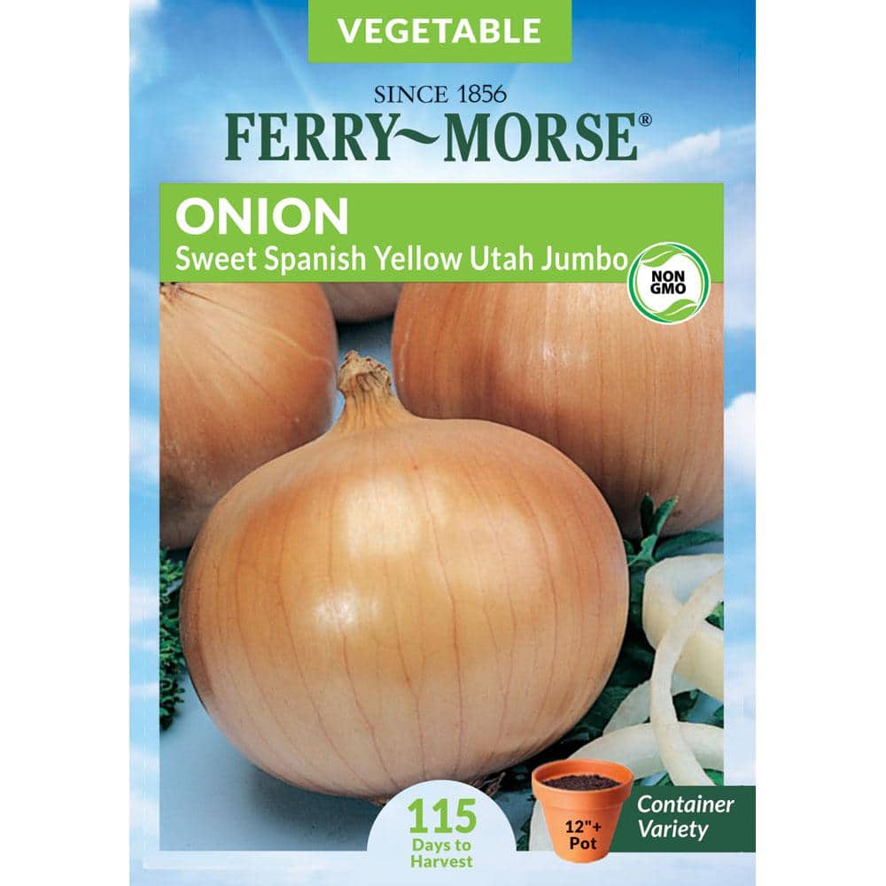 Ferry-Morse Onion Sweet Spanish Yellow Utah Jumbo Vegetable Seed 7466 ...