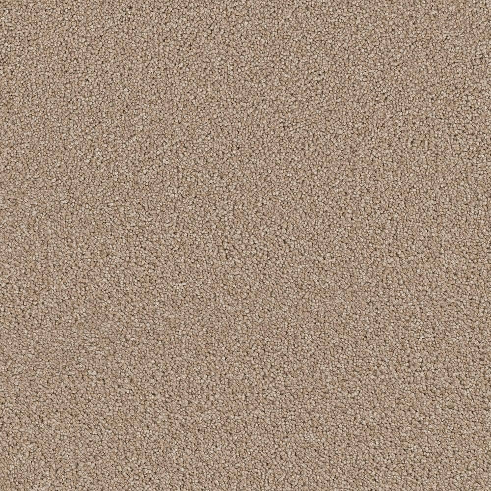Reviews for Home Decorators Collection Perfected I - Flawless - Beige ...