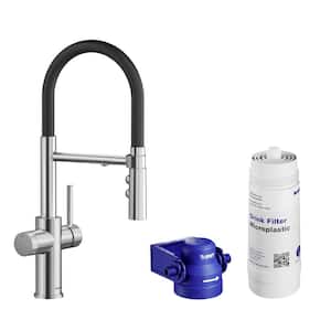 Blanco Rivana Single-Handle Pull-Down Sprayer Kitchen Faucet in ...