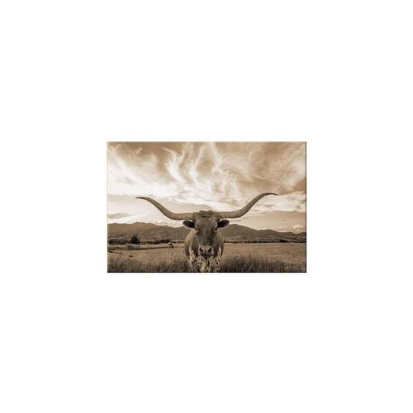Animal Canvas Wall Art Highland Cattle with Long Horns Picture Longhorn ...