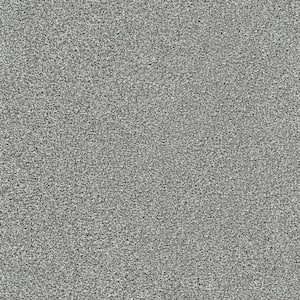 Lifeproof 8 in. x 8 in. Texture Carpet Sample - Evermore I - Color ...