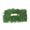 Sod Pods Centipede Grass Plugs (16-Count) Natural, Affordable Lawn ...
