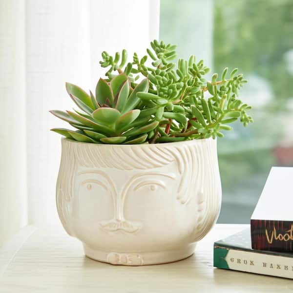 Liv & Skye White Ceramic Grandpa Face Planter with (6.69 in. W x 4.64 ...