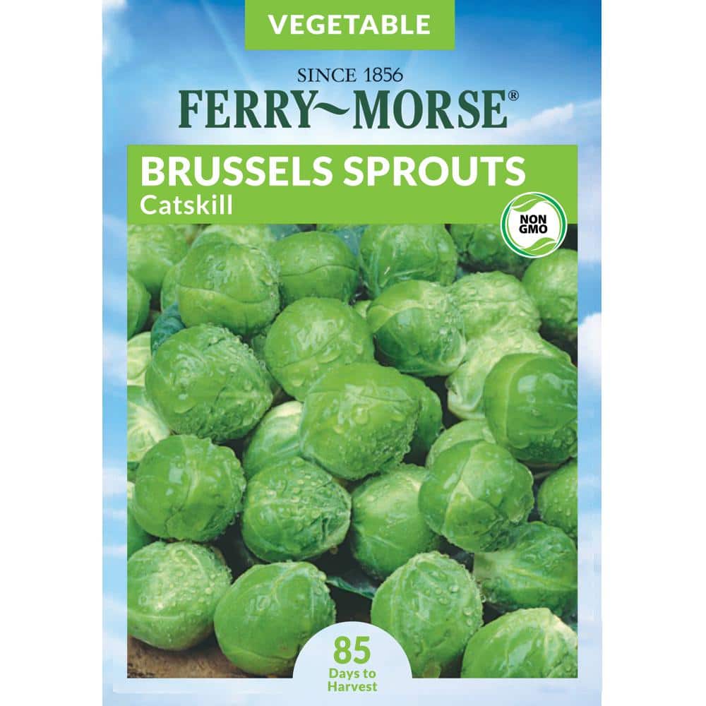 Ferry-Morse Brussels Sprouts Catskill Vegetable Seed 4078 - The Home Depot