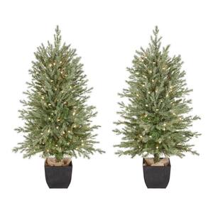 Potted - Christmas Trees - Christmas Decorations - The Home Depot