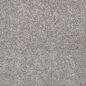 Lifeproof 8 in. x 8 in. Texture Carpet Sample - Hazelton III - Color ...