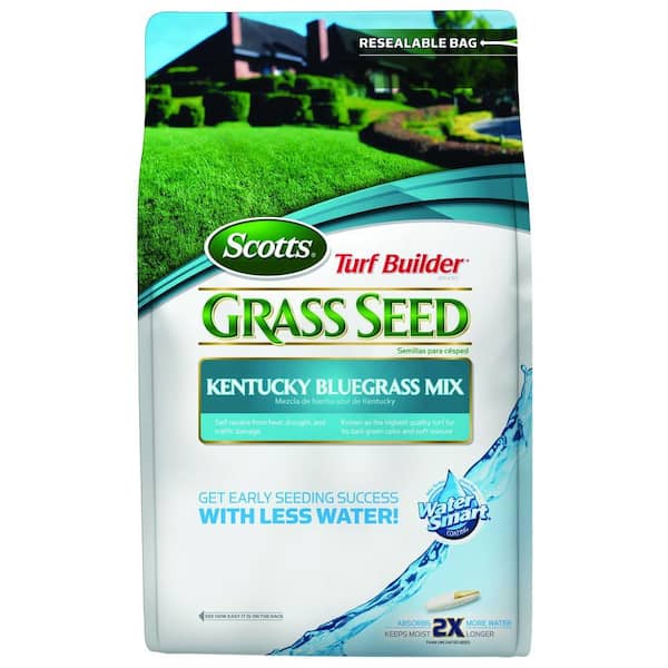 Have a question about Scotts Turf Builder 3 lb. Kentucky Bluegrass Mix? - Pg 1 - The Home Depot