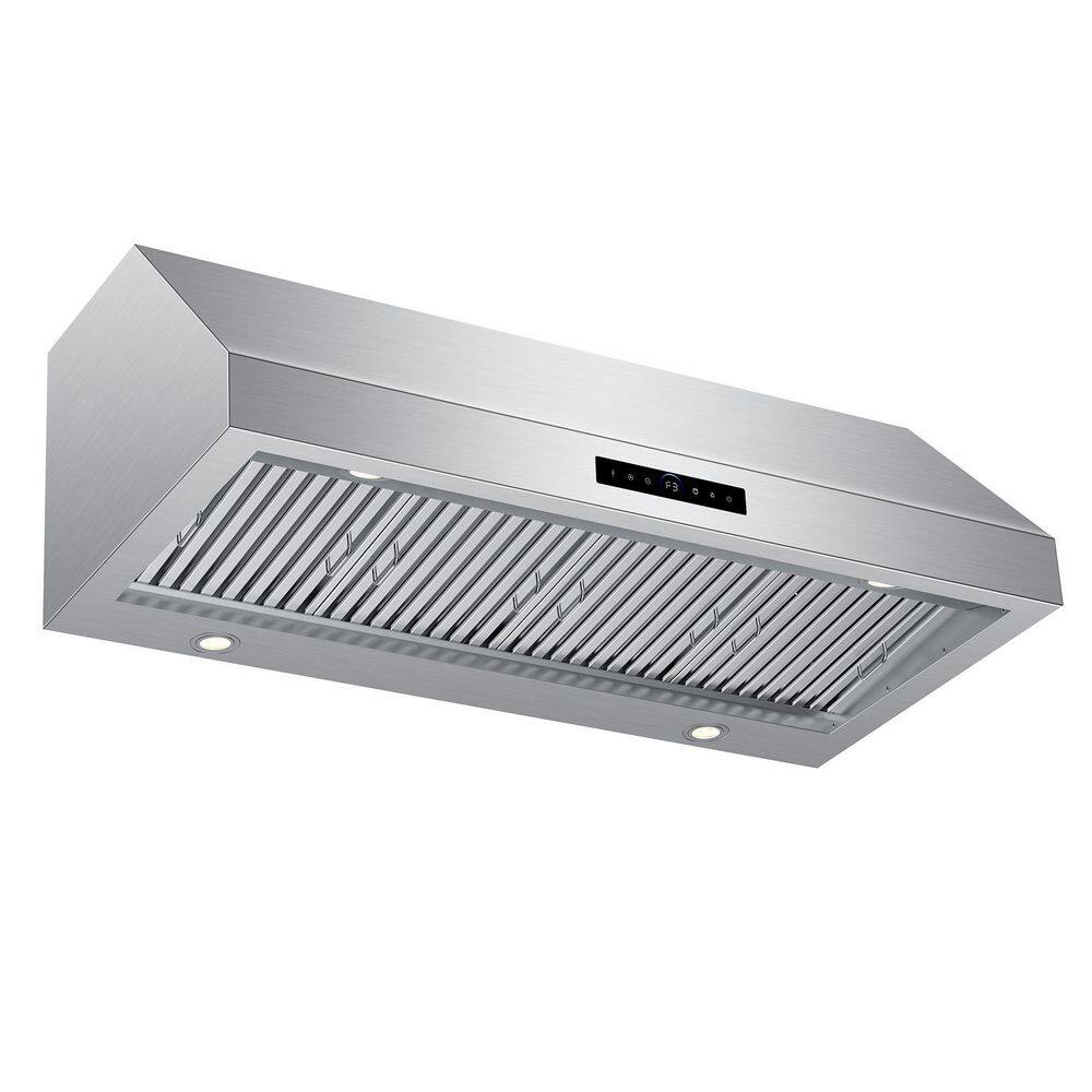 Denjol 48 in. 1000 CFM Ducted Vent Wall Mount Range Hood with Dual ...
