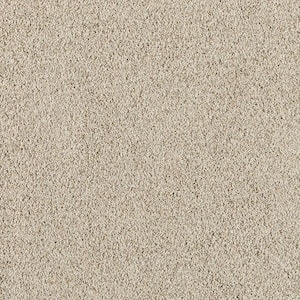 Home Decorators Collection 8 in. x 8 in. Texture Carpet Sample ...