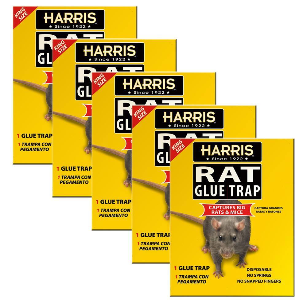 Harris King Size Rat and Mouse Glue Trap (5-Pack) 5KING-RAT