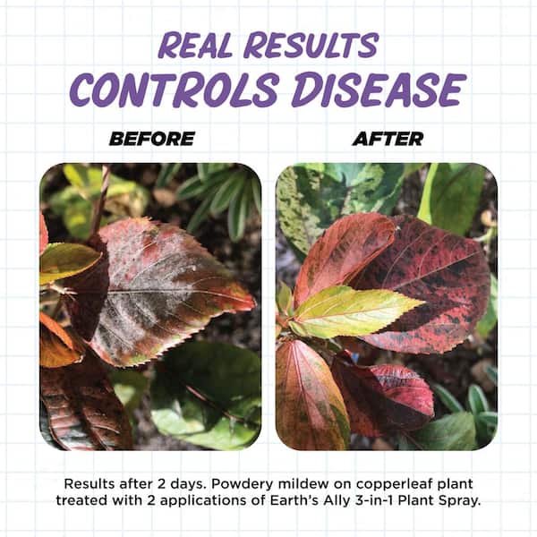 EARTH'S ALLY 24 oz. Ready-to-Use Insecticide, Miticide, Fungicide 3-in ...