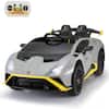 TOBBI 24-Volt Licensed Lamborghini Kids Ride On Car With Remote Control ...
