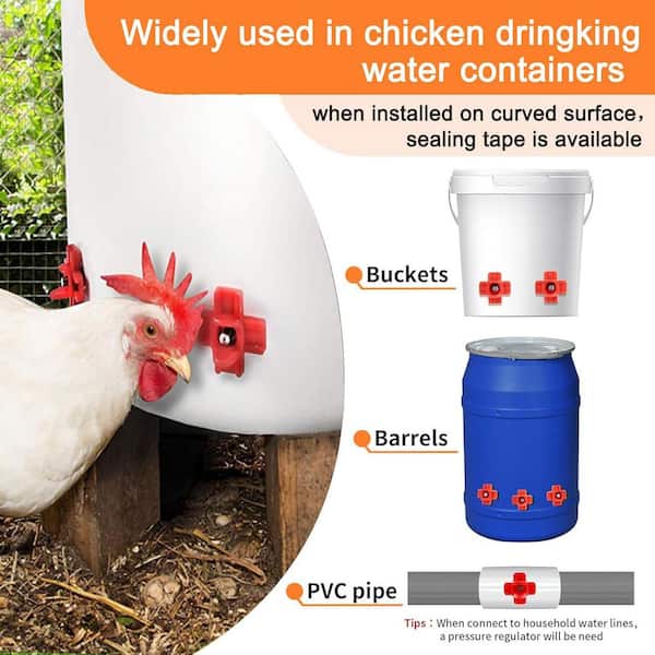 Co Op Chicken Water Containers Chicken Feeder And Waterer Combo From