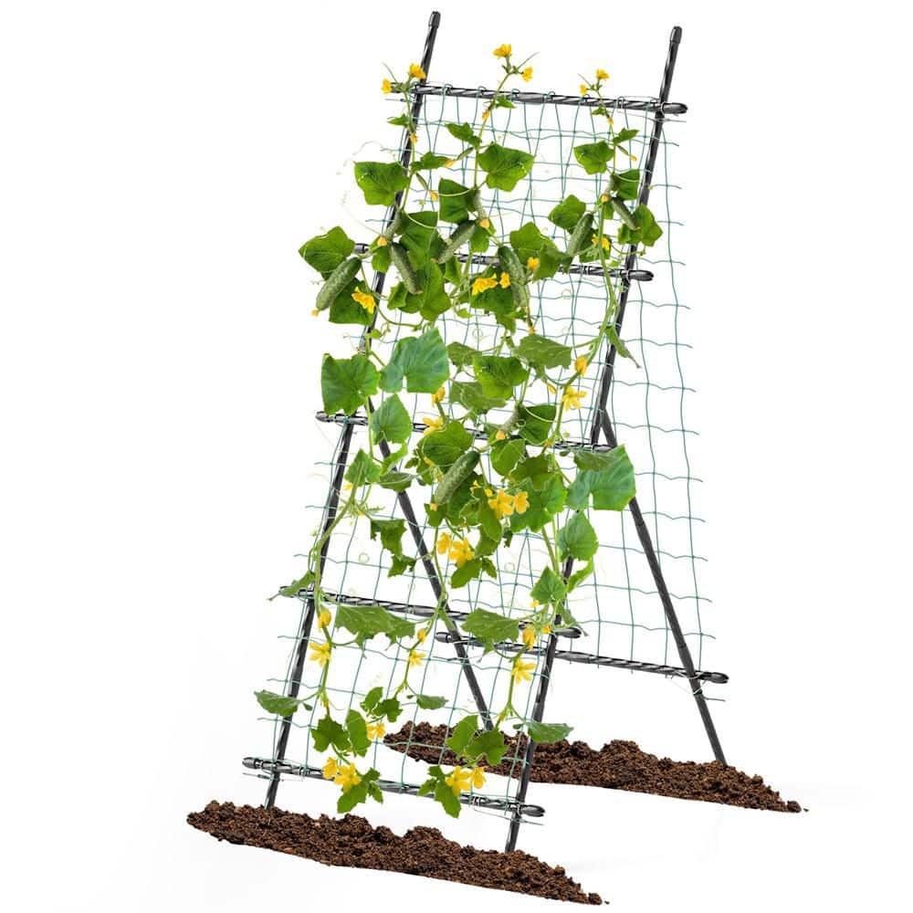 Costway 75 in. Metal Garden Cucumber Trellis for Plant Climbing with PE ...