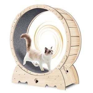 maocao hoom Cat Exercise Wheel for Indoor Cats, Cat Running Wheel with ...