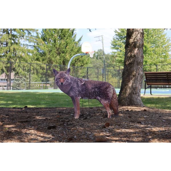 Coyote Silhouette For Goose Control