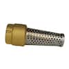 Water Source 2 in. Brass Foot Valve TFV200NL - The Home Depot