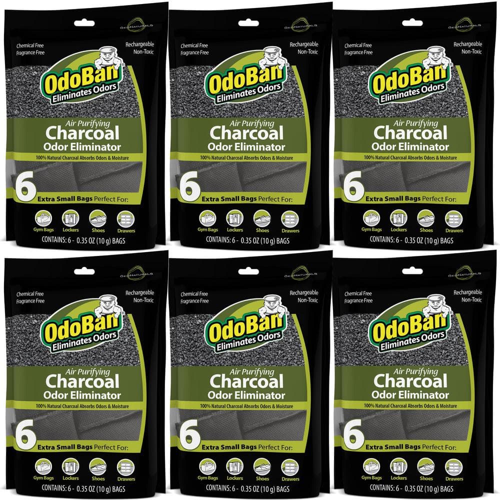 OdoBan 10 g Charcoal Odor Eliminators (6 ct) Natural Odor and Moisture ...