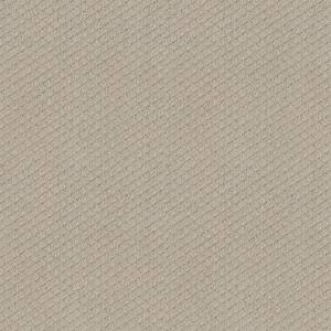 Beige - Pattern Carpet - Installed Carpet - The Home Depot