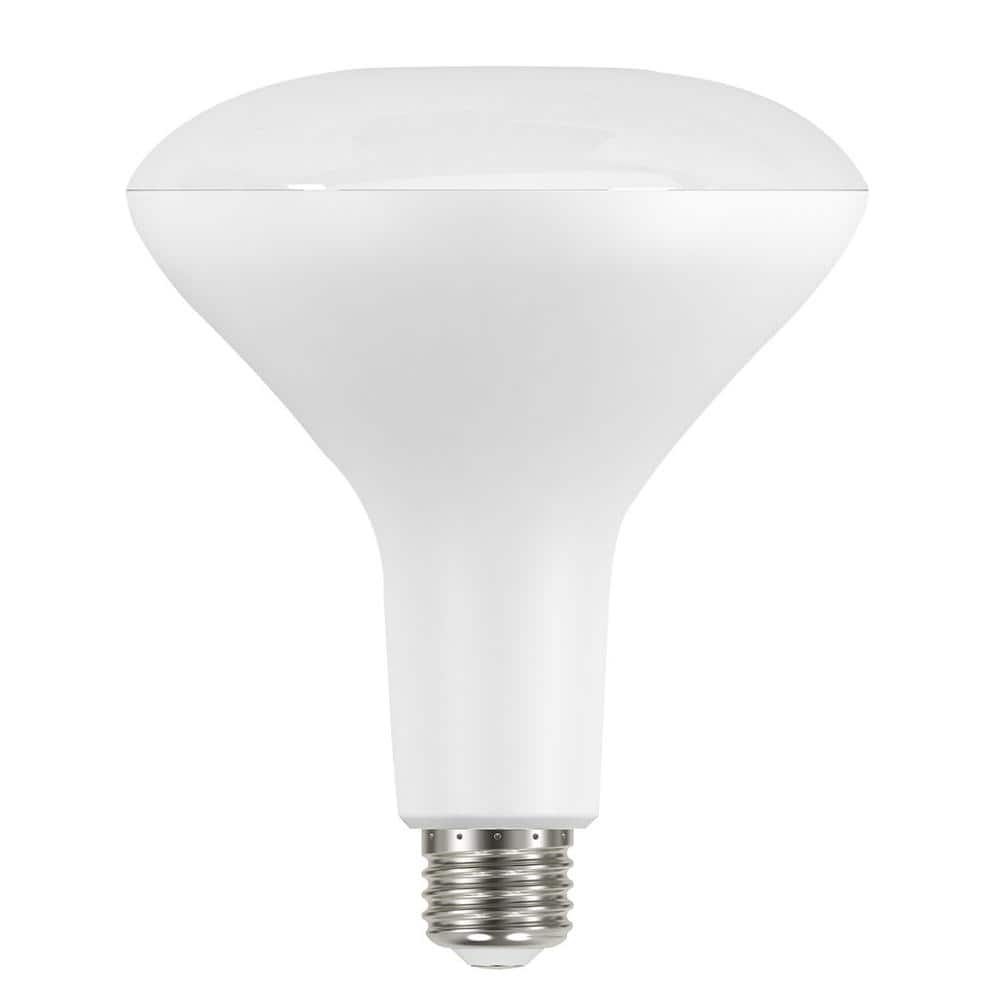 75-Watt Equivalent BR40 Dimmable LED Light Bulb in Soft White 2700K (6 ...