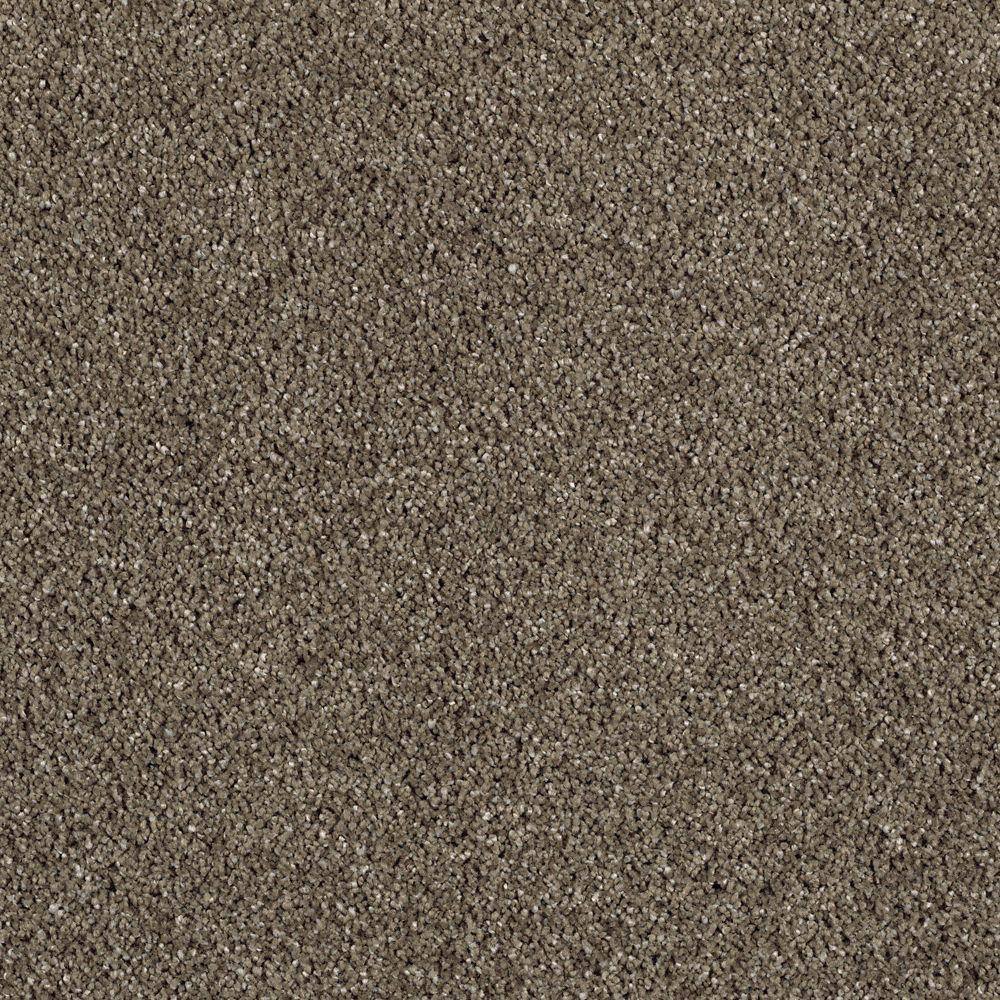 TrafficMaster Private Retreat II - Color Double Dutch 12 ft. Carpet ...