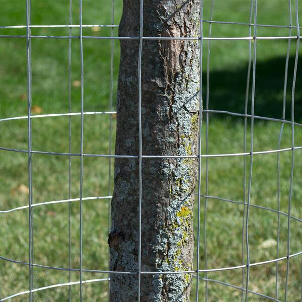 Welded Wire Rolled Fencing At 57 OFF Www elevate in