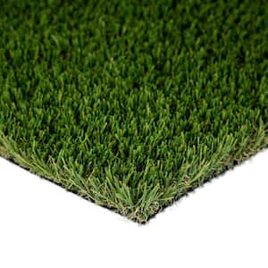 Lifeproof with Petproof Technology Premium Pet Turf 15 ft. W x Cut to ...