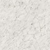 FORMICA 3 in. x 5 in. Laminate Sheet Sample in Carrara Bianco with ...
