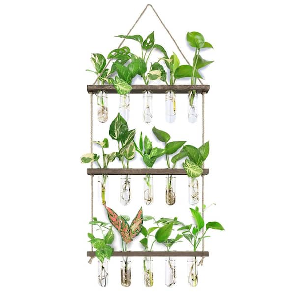 Primehome Wall Mount Test Tube Propagation Station – 3-Tier Wood and ...