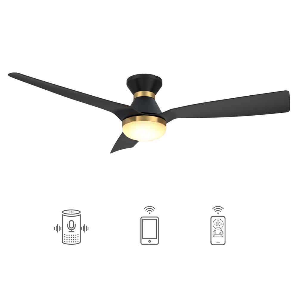 CARRO Striver 52 in. Integrated LED Indoor Black Smart Ceiling Fan with ...