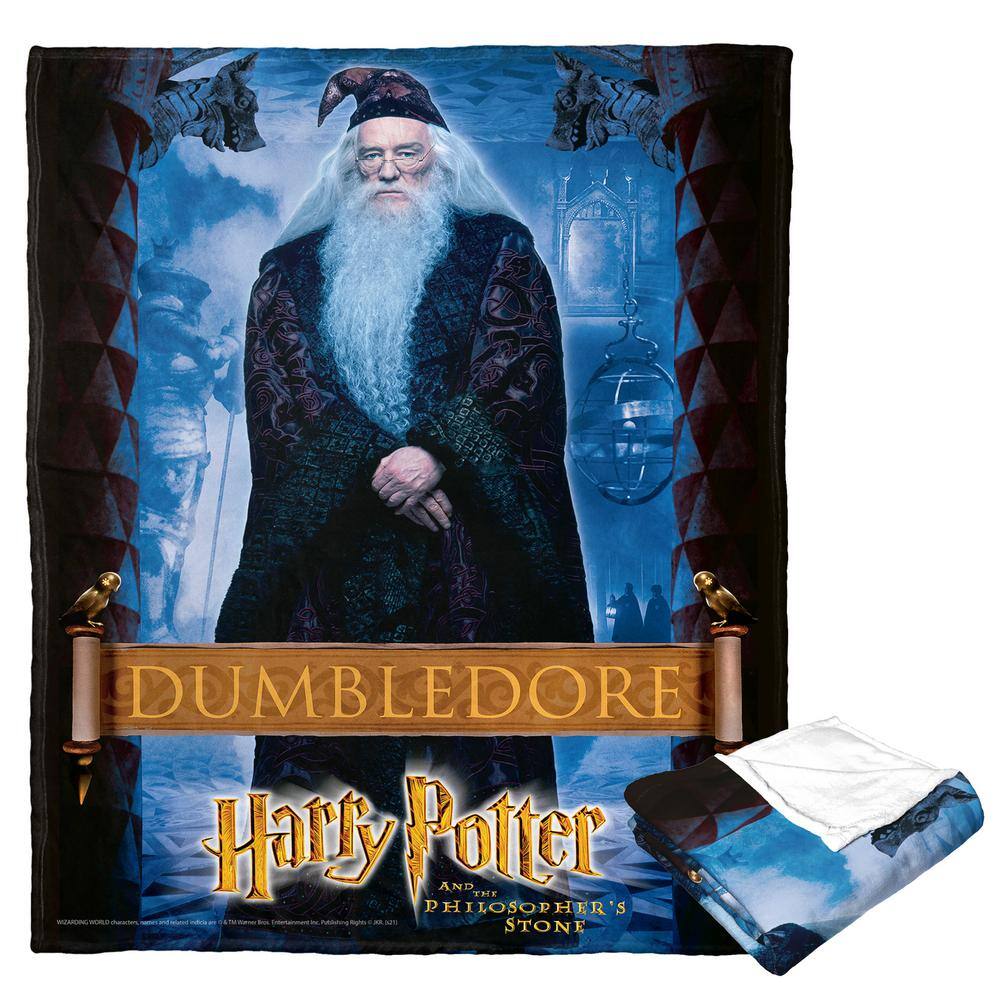 THE NORTHWEST GROUP Harry Potter Dumbledore Silk Touch Multi-Colored ...