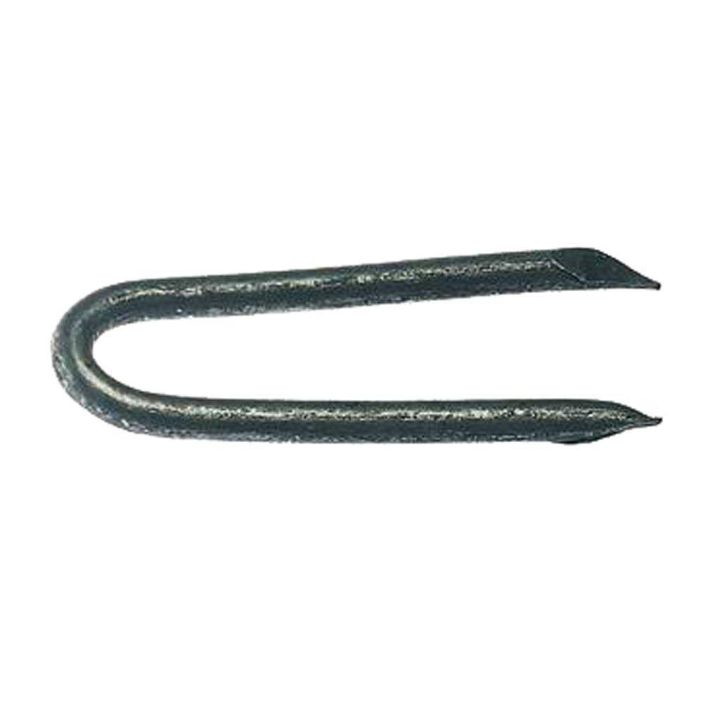 Grip-Rite 1-1/4 in. Hot Galvanized Staples (5 lb. Pack) 114HGFS5 - The ...