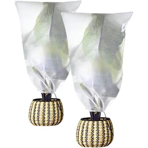 Dalen 3 in. W x 50 ft. L Protective Tree Wrap High Quality and ...