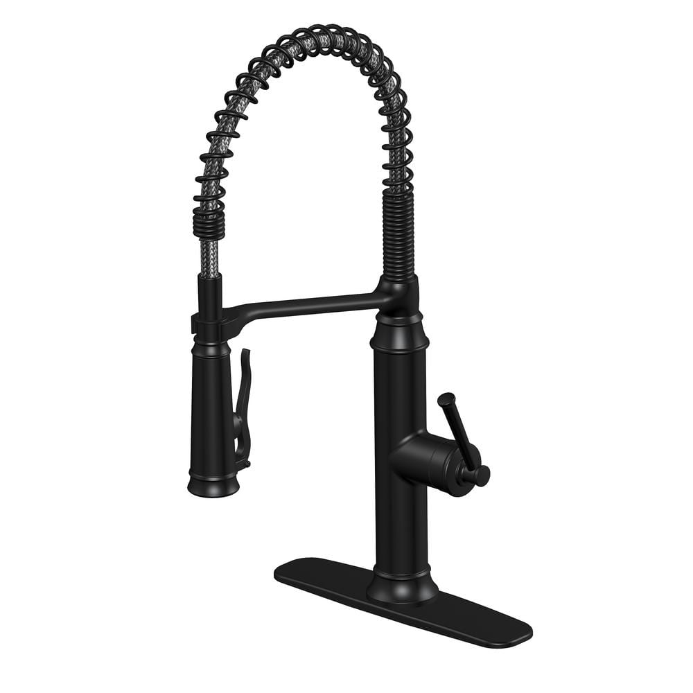 Glacier Bay Linscott Single Handle Coil Spring Neck Pull Down Sprayer ...